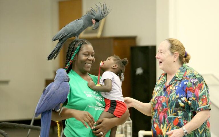 A Visit from Parrot Productions! - Athens Regional Library System